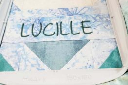 How to create embroidery designs using Premier+ 2 software - QUILTsocial