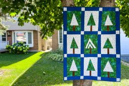 TrueCut 360 the Perfect Tool to Cut Perfect Circles on Fabric - QUILTsocial